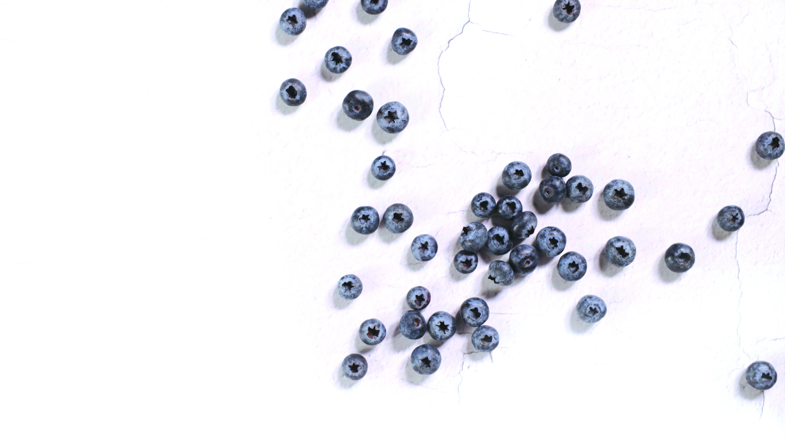 Boost Your Workout Toolkit - Food Professionals